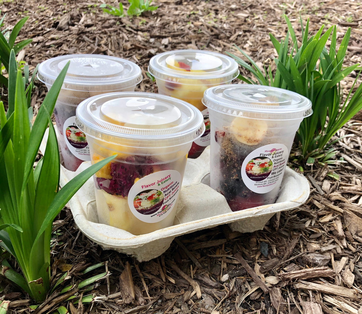 Frozen Smoothie trays – Flavor Juicery